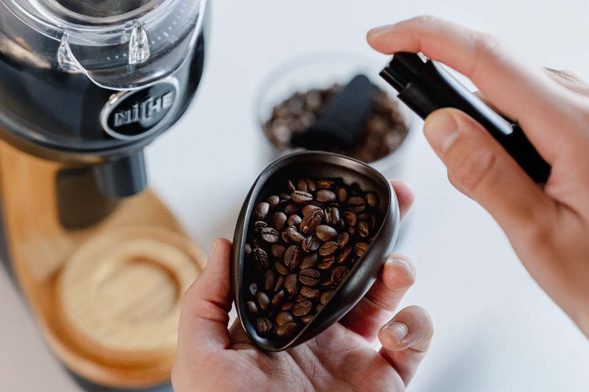 Sage Coffee Machine Cleaning; Everything you need to know – Barista ...